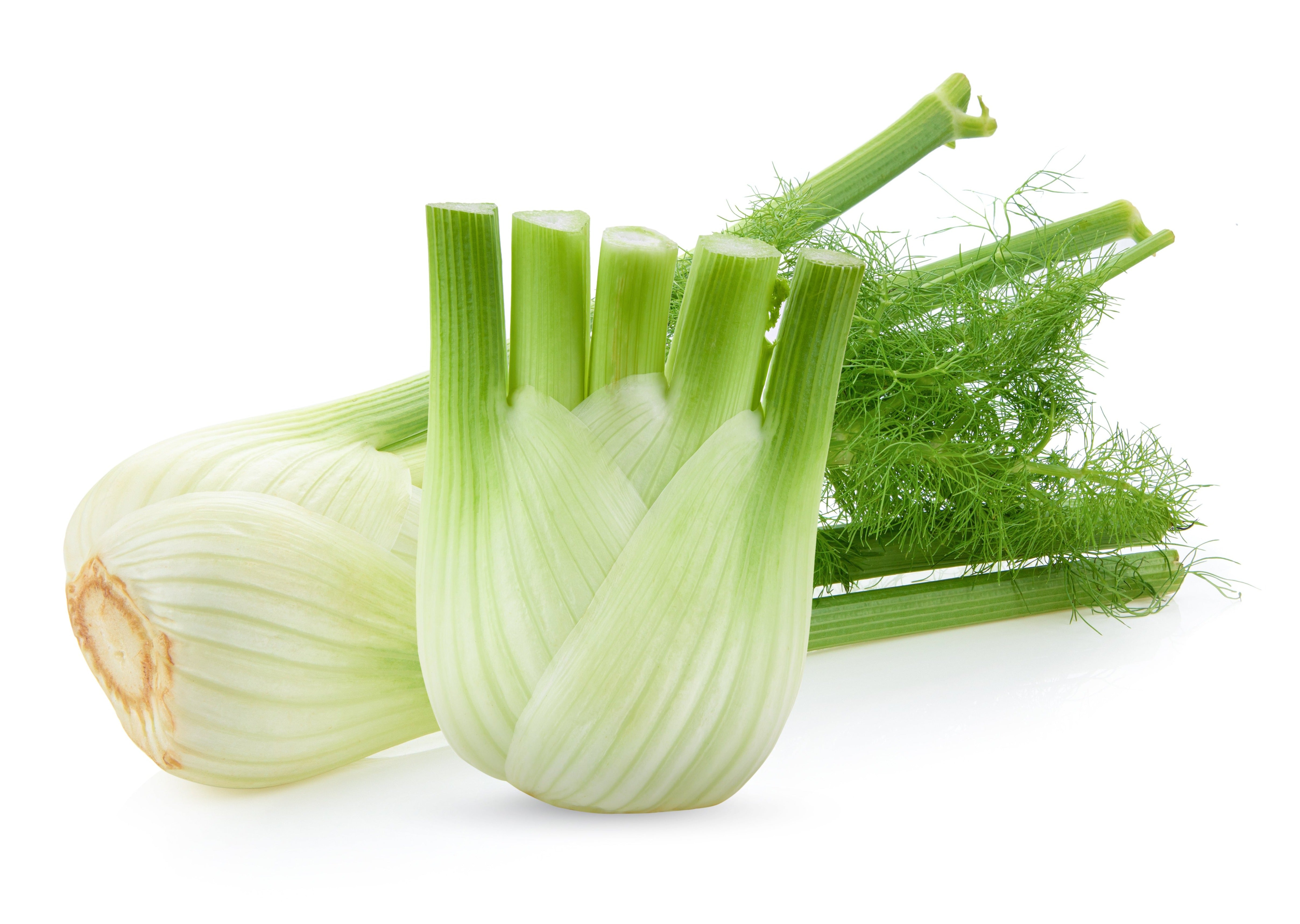 Fennel (local) – EDEN'S HK