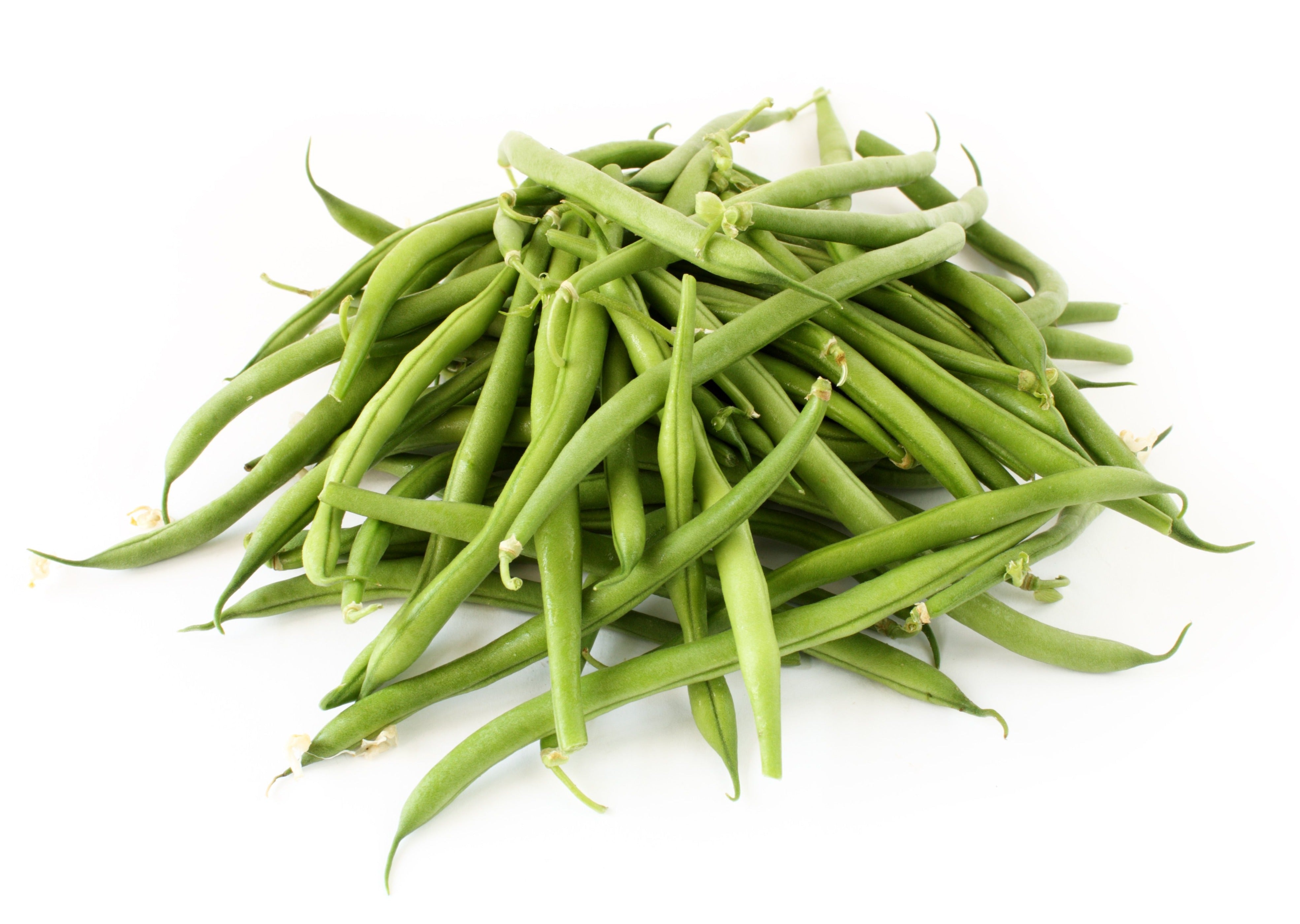 Fine Beans – EDEN'S HK